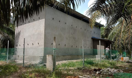 The Rise of Swiftlet farming - JinYi Group